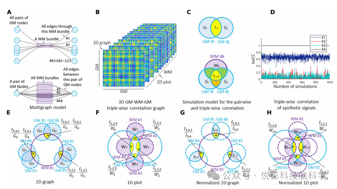 Science Avances：缺失的第三维度—白质BOLD信号的功能相关性-CSDN博客