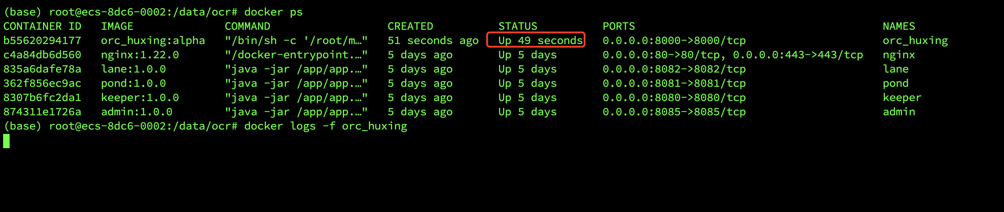 ARM架构构建Python Django项目镜像_python代码arm国产化 minconda-CSDN博客