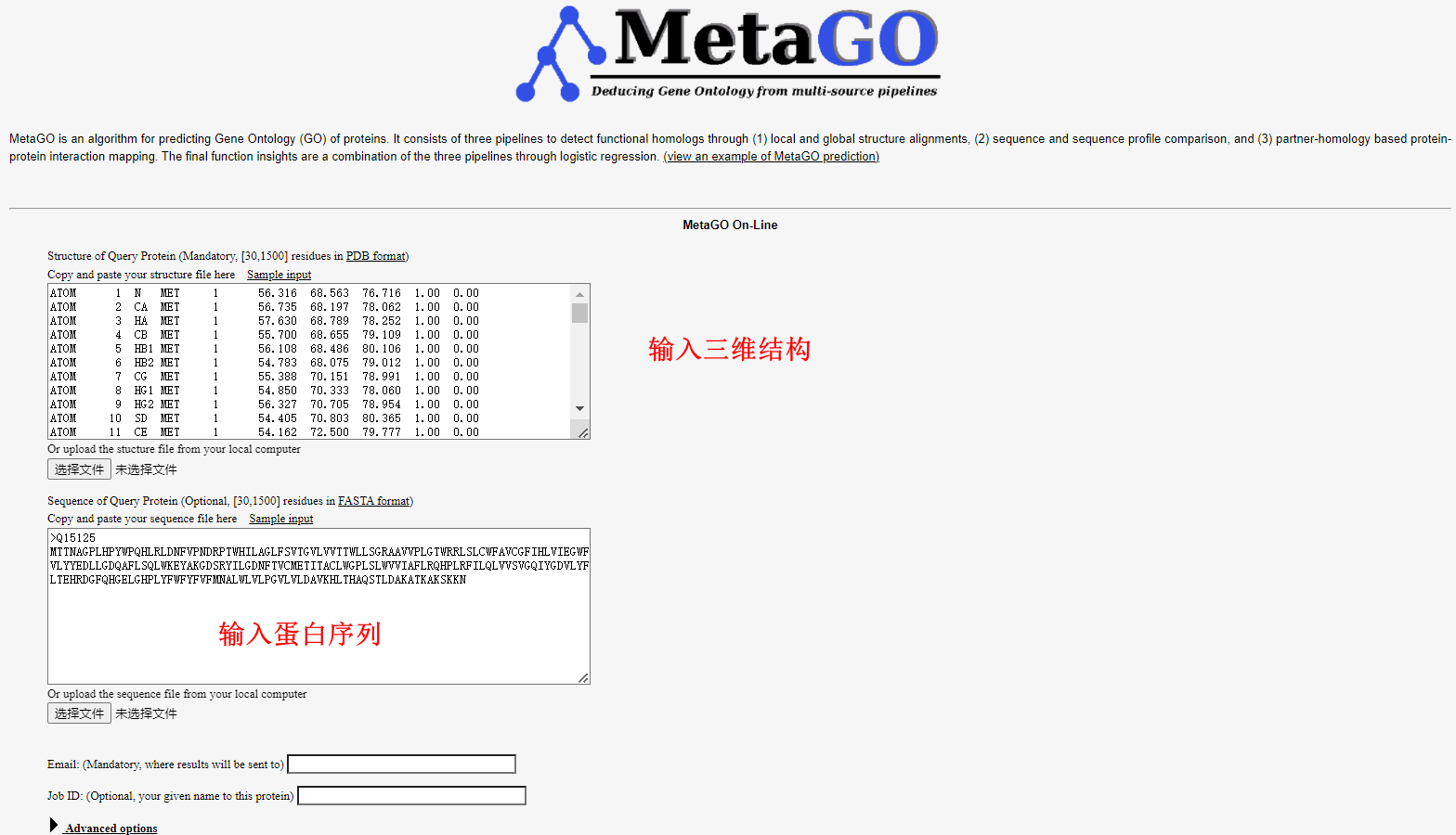 结构预测、功能注释、分子对接 —— 这个网站全包了_分子对接网站-CSDN博客