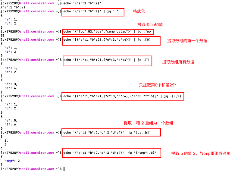 软件测试/测试开发丨Linux进阶命令（curl、jq）_curl -s url | jq .-CSDN博客