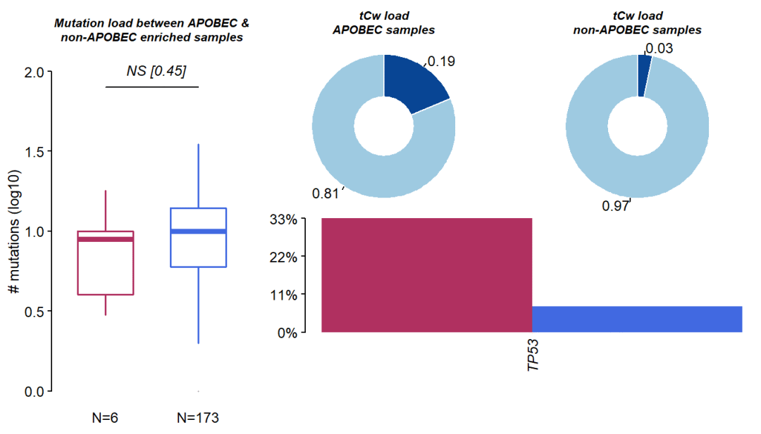 一文学会R包 maftools 简介使用-CSDN博客