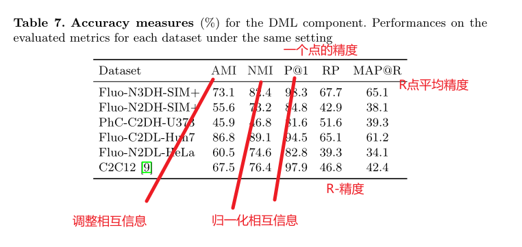图神经网络基础入门+GNN细胞视频轨迹示踪论文复现（一）-CSDN博客
