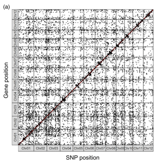 文献解读丨利用群体转录组方法和eQTLs寻找水稻抗病转录因子_pqtl-eqtl热点transcriptome-wide association analyses-CSDN博客