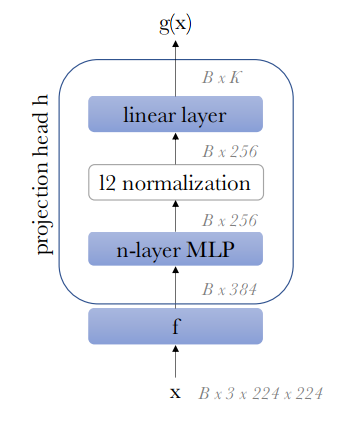 DINO Emerging Properties in Self-Supervised Vision Transformers 论文阅读-CSDN博客