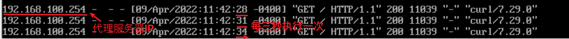 【Centos】web代理_web.chinaskills.cn-CSDN博客