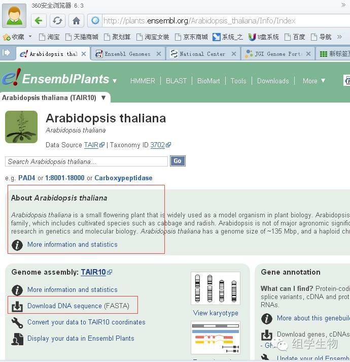 Ensembl数据库下载参考基因组（植物拟南芥）_拟南芥基因组序列下载-CSDN博客