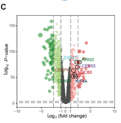 双阈值的火山图_logfc一般取多少-CSDN博客