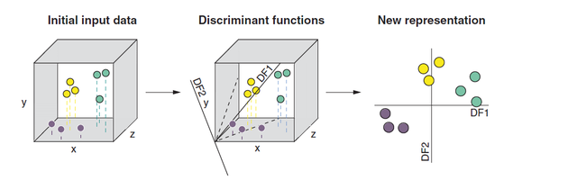 R机器学习：分类算法之判别分析ldaqda的原理与实现使用qda函数需要进行数据标准化吗 Csdn博客