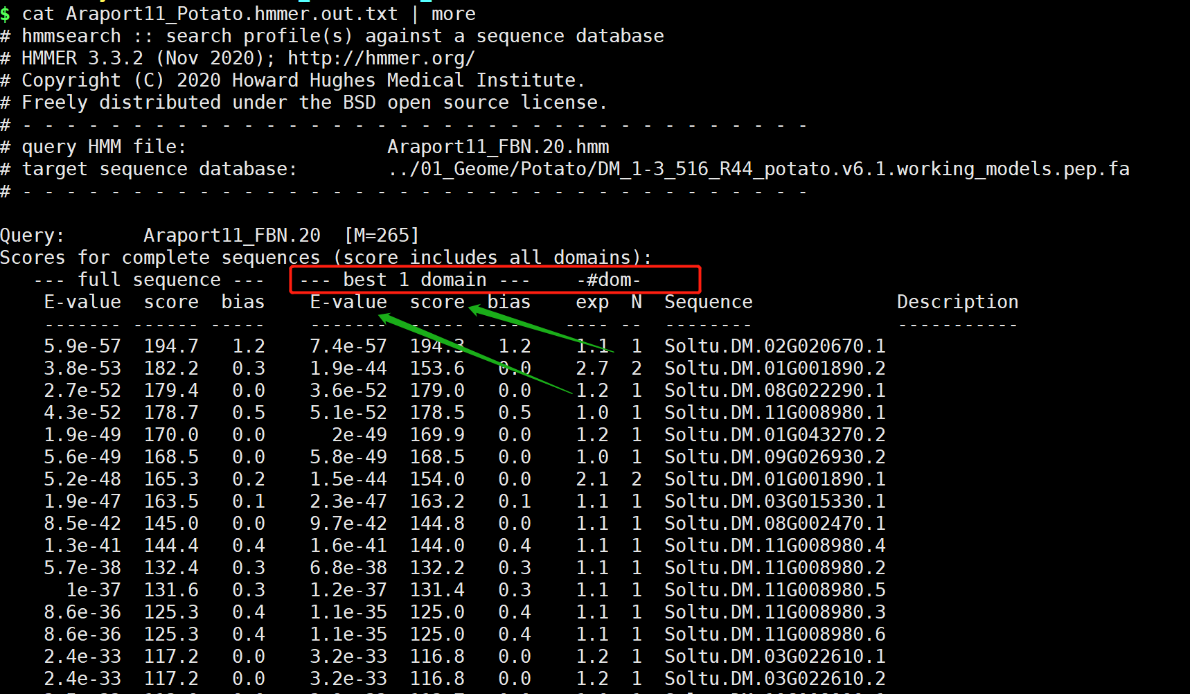 使用Hmmer寻找同源基因_在虚拟机中进行同源基因的查找-CSDN博客