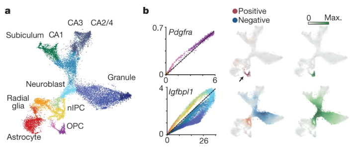 2020-011 RNA velocity of single cells_rna velocity的方向-CSDN博客