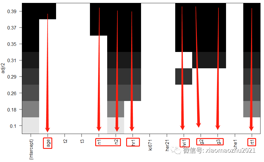 R语言| 16. 预测模型变量筛选: 代码篇 cox模型选择变量筛选_cox模型1模型2 模型3的变量选择-CSDN博客