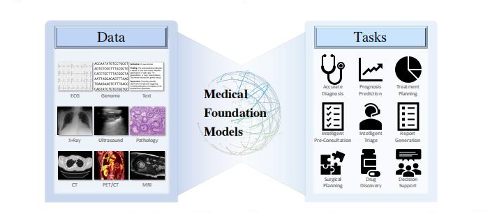 医学影像Foundation Models发文必读！上海人工智能实验室和罗格斯大学联合综述基础大模型方法与挑战_a foundation ...