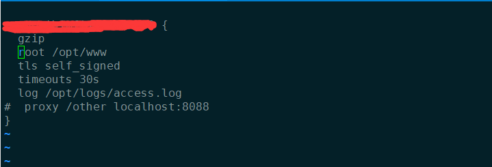 Caddy部署与使用—踩坑总结_caddy 只能本地访问-CSDN博客