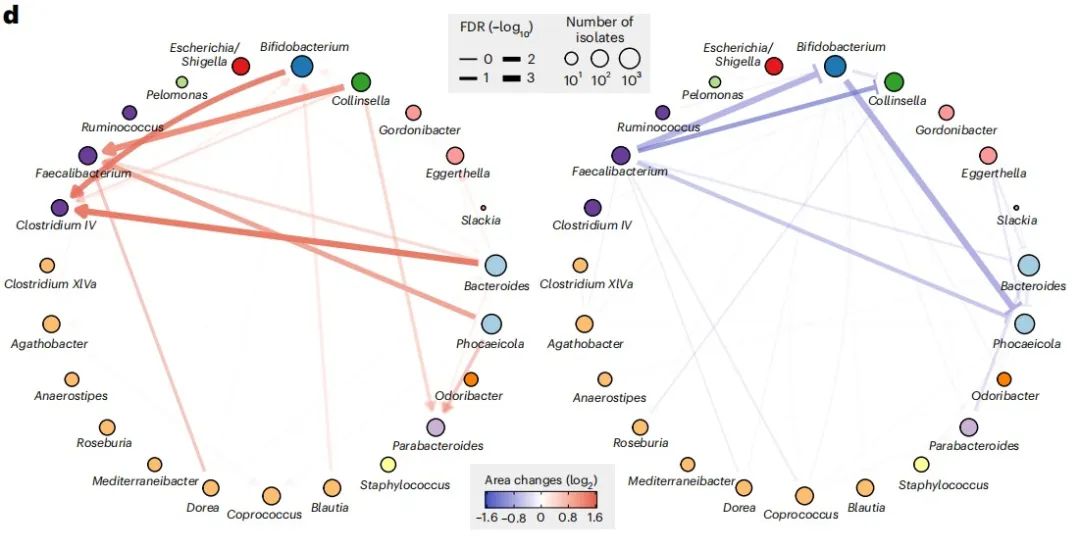 Microbiomestatplot 微生物正负互作网络图教程microbiota Interaction Network Csdn博客 