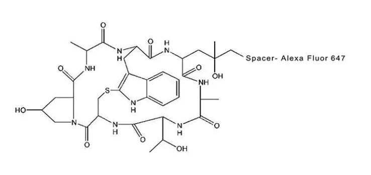 Alexa Fluor 647鬼笔环肽，AF 647 Phalloidin，可用于追踪F-肌动蛋白的变化-CSDN博客