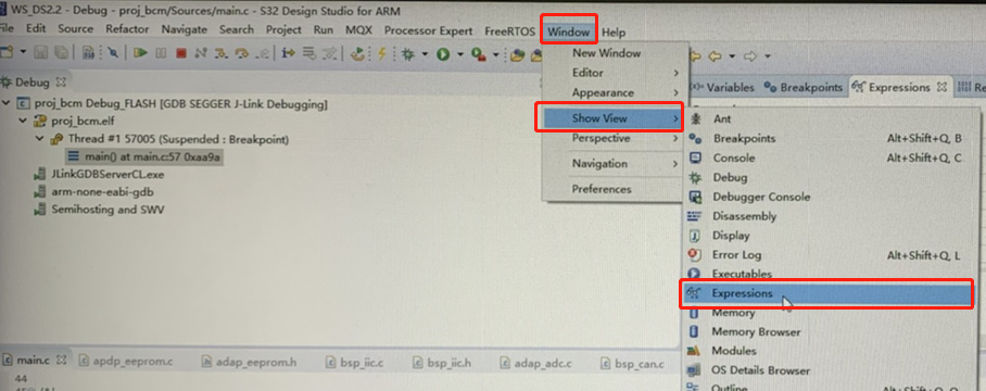 S32DS debug模式的Expressions窗口设置_nxp s32ds debug方法-CSDN博客