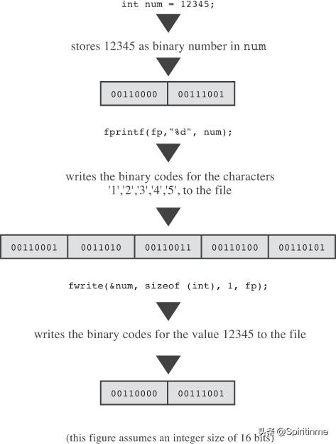 c语言fread函数的用法_C语言标准I/O系列的7个函数-CSDN博客