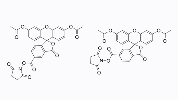 (5,6)-FAM diacetate NHS ester，150347-59-4，可穿透细胞膜的荧光染料，CFDA-SE-CSDN博客
