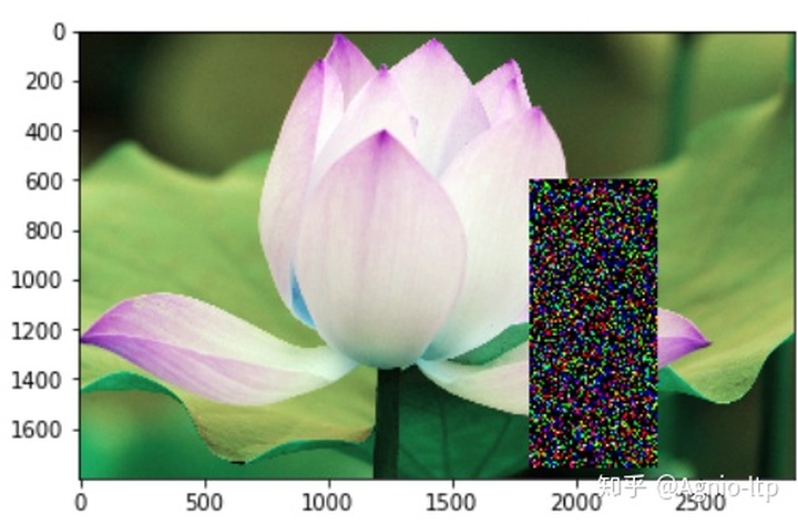 Opencv 随机形状pytorch随机遮挡image Object Has No Attribute Shape Csdn博客