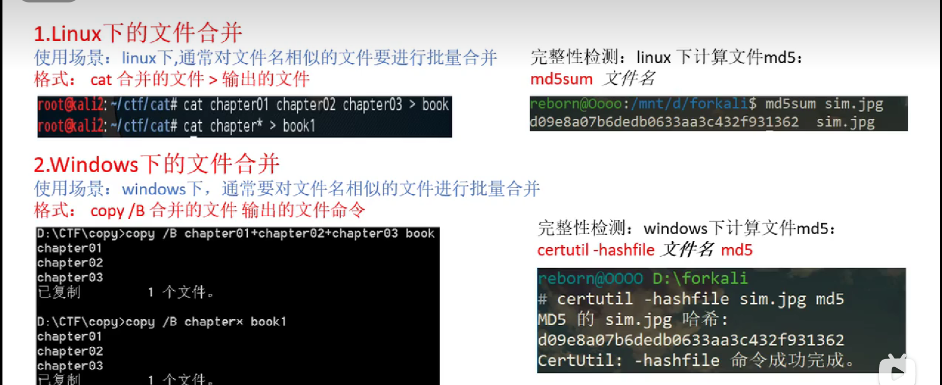 CTF杂项之文件操作与隐写_file文件中的myheart-CSDN博客