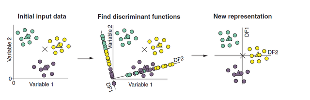 R机器学习：分类算法之判别分析ldaqda的原理与实现使用qda函数需要进行数据标准化吗 Csdn博客