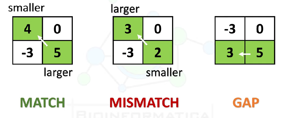 「一文搞定序列比对算法」Global以及Local Alignment序列比对算法的实现-CSDN博客