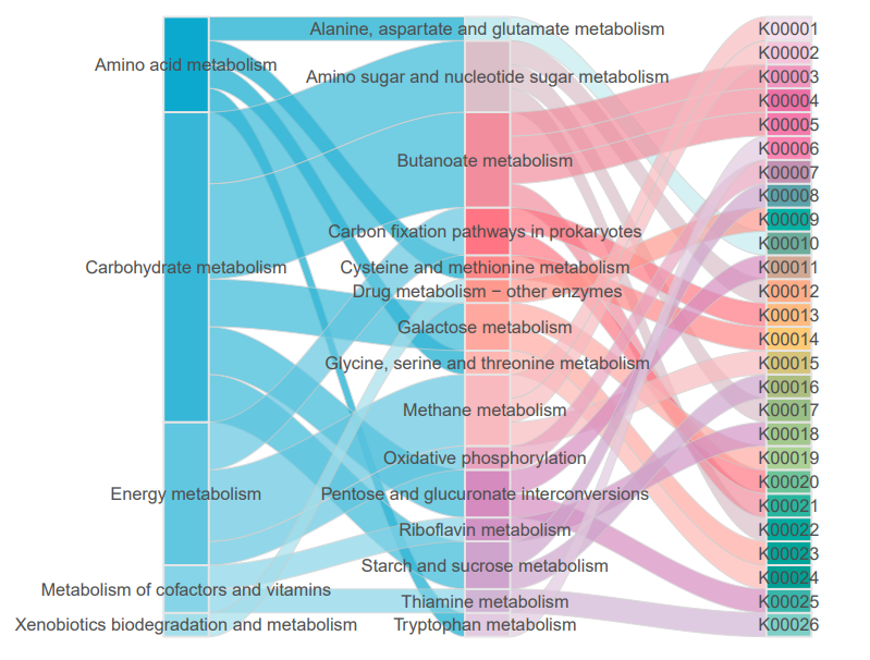 Microbiomestatplot 桑基图教程sankey Plot Tutorial Csdn博客