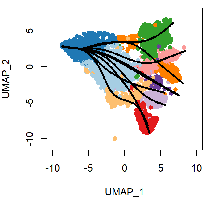 Slingshot|单细胞轨迹推断r包_slingshot包安装-CSDN博客