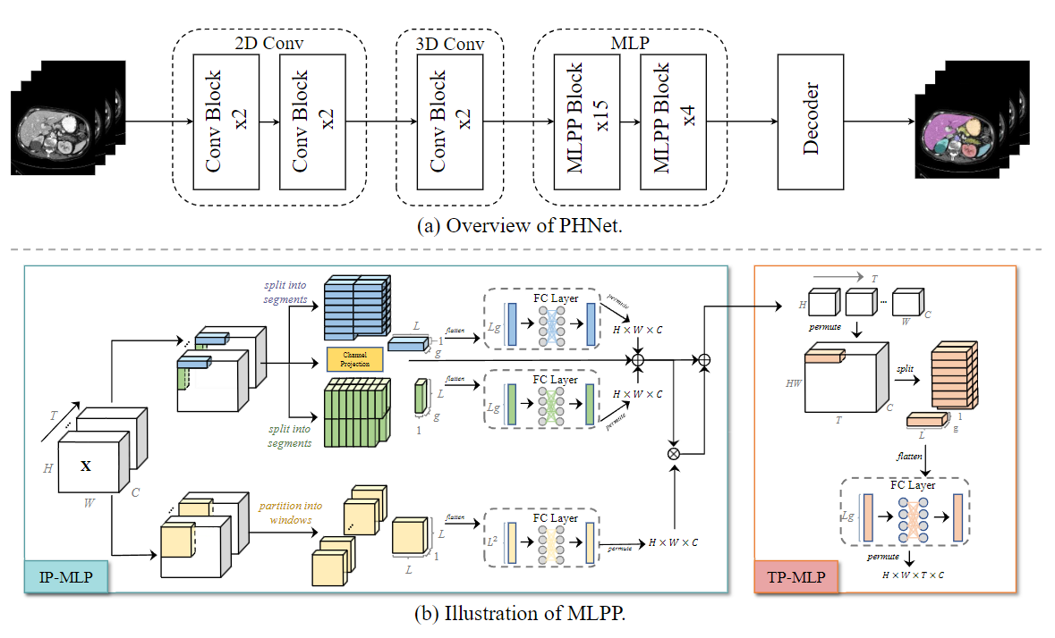 2023 港科大医学图像分割新作 | PHNet: 当MLP与CNN巧妙结合会擦出什么火花？_2023 cnn 图像分割模块-CSDN博客