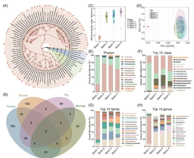 mLife | 底物特性调控代谢分工群落构建的定量预测原理-CSDN博客