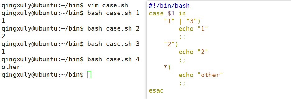 Shell快速入门-CSDN博客
