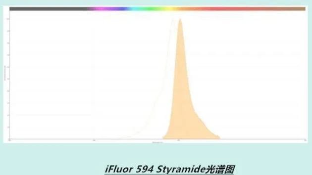iFluor 594 Styramide，AlexaFluor594酪胺，荧光酪酰胺缀合物-CSDN博客
