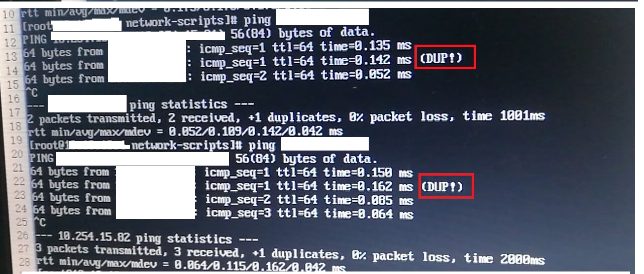 linux下ping提示dup,ping出现dup问题-CSDN博客
