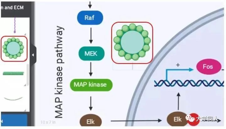 origin如何将多个曲线放在一张图_解密！SCI论文中那些高大上的插图是如何绘制的..._weixin_39530833的博客-CSDN博客