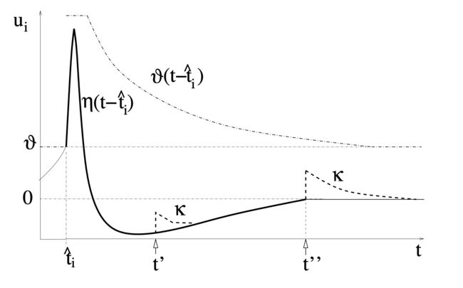 Matlab实现snn代码,SNN系列｜神经元模型篇(3)SRM_小农家的暮的博客-CSDN博客