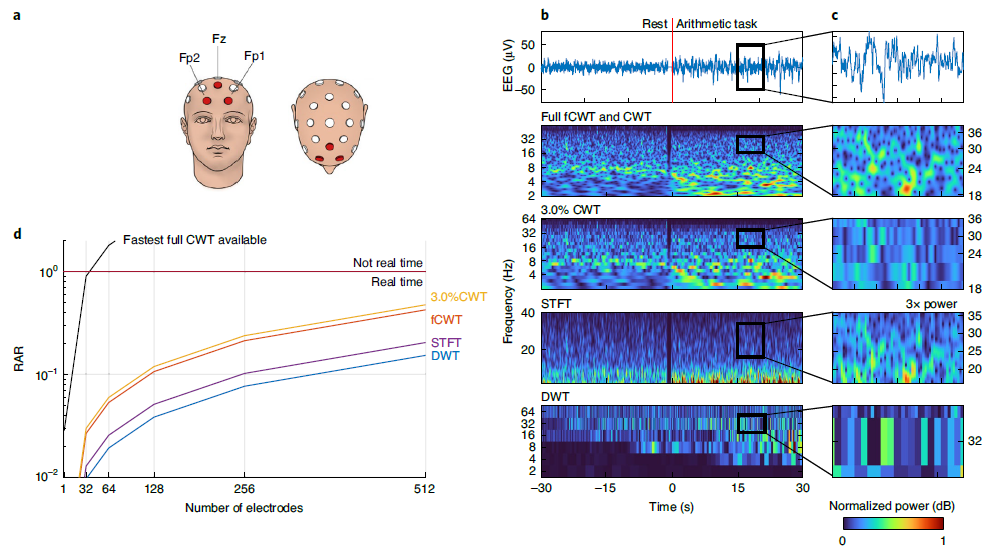 重磅！信号分析新方法fCWT处理速度提高100倍，可应用于脑机接口,Nature子刊-CSDN博客