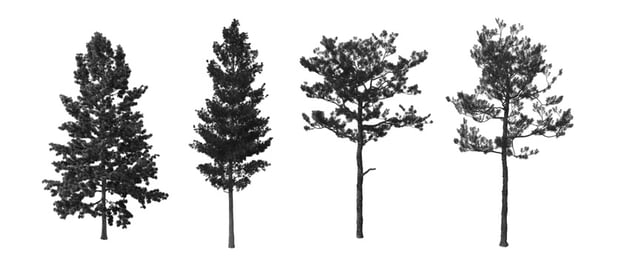 如何为 Photoshop 创建松树画笔_ps树笔刷-CSDN博客