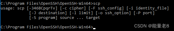 Windows上使用SCP拷贝远程文件_scp windows-CSDN博客