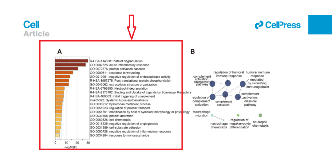 跟着Cell学作图|7.富集分析(Metascape数据库)-CSDN博客