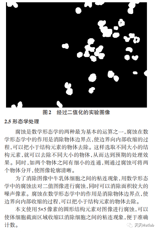 【细胞分割】基于计算机视觉技术实现生物细胞计数matlab代码matlab细胞分割 Csdn博客