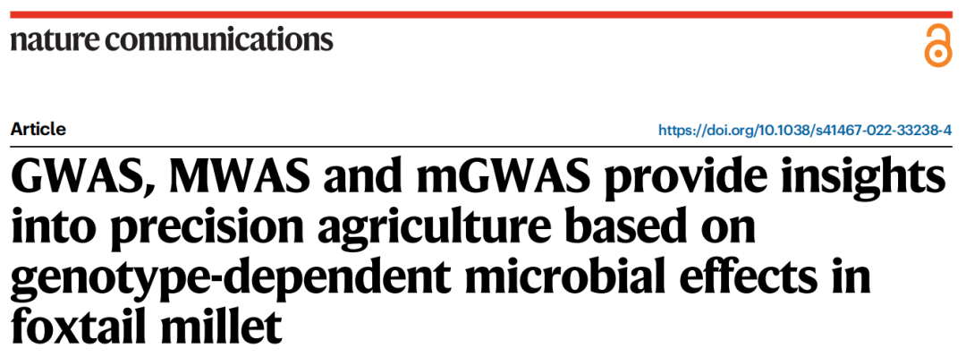 宿主基因组-微生物关联（mGWAS）新思路！-CSDN博客