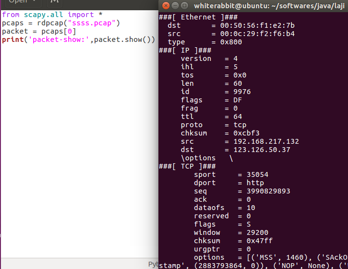 python的scapy库_使用Python的Scapy库解析Paca文件-CSDN博客