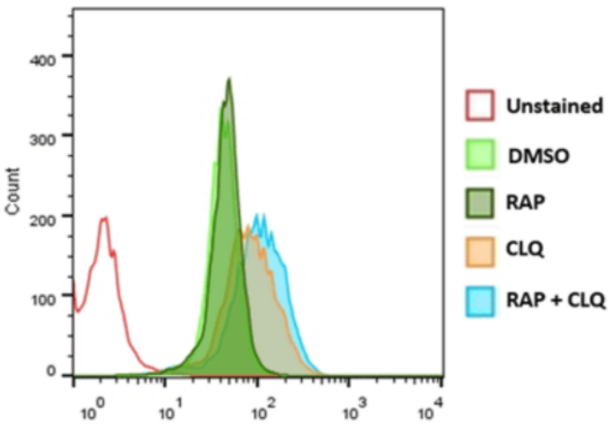 ENZO—CYTO-ID® Autophagy Detection Kit 2.0自噬检测试剂盒2.0版_自噬通量检测试剂盒-CSDN博客