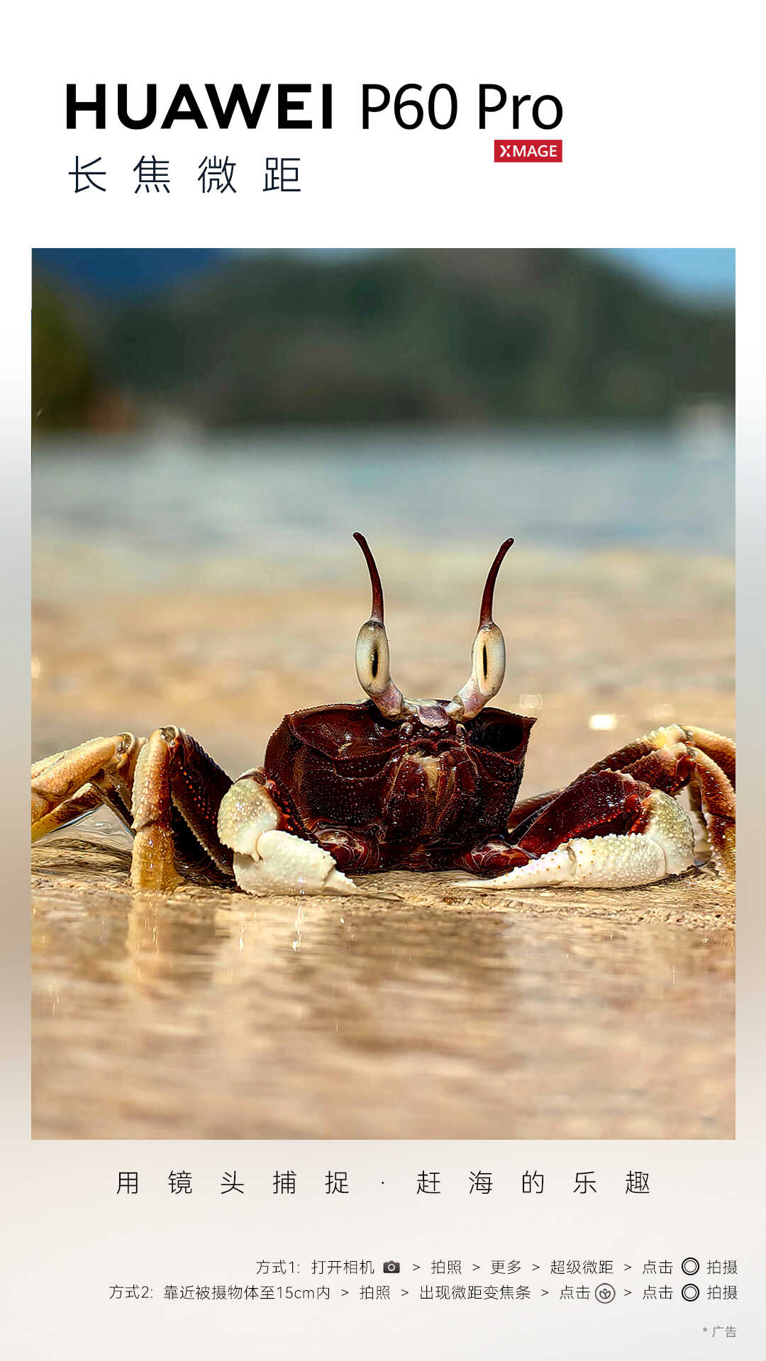 华为P60 Pro超聚光XMAGE影像，探寻海底秘境！-CSDN博客