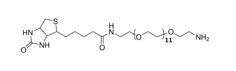 Biotin-PEG11-amine，604786-74-5，可以与含有游离羧酸或醛基的分子进行生物素标记，Biotin-PEG11-NH2-CSDN博客