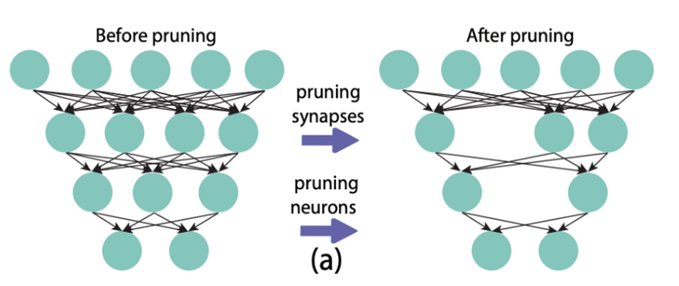 Fast and Effective！一文速览轻量化Transformer各领域研究进展-CSDN博客