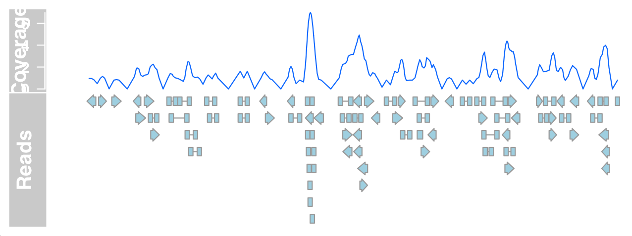 Use GVIZ package to achieve genome data visualization - Programmer Sought