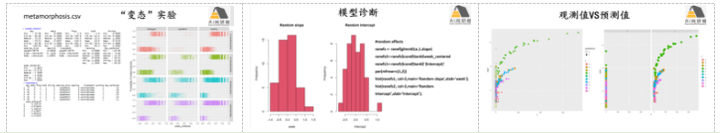 R语言生物群落（生态）数据统计分析与绘图（从数据整理到分析结果展示）微生物组学分析r语言 Csdn博客