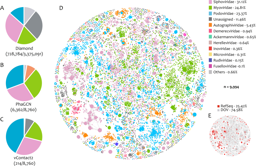 Microbiome | 水科院南海所姜敬哲团队揭示滤食性牡蛎体内巨大的病毒多样性-CSDN博客