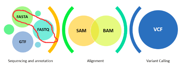 fastq质量值_NGS数据格式01-FASTQ和FASTA格式详解-CSDN博客